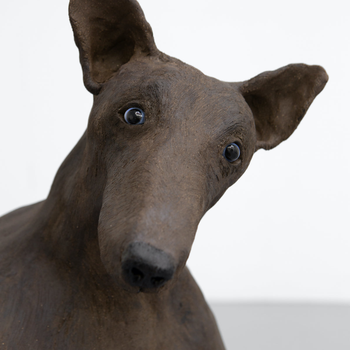 THE MYSTERIOUS WORLDS OF ELIZABETH JAEGER – Sonam Khetan